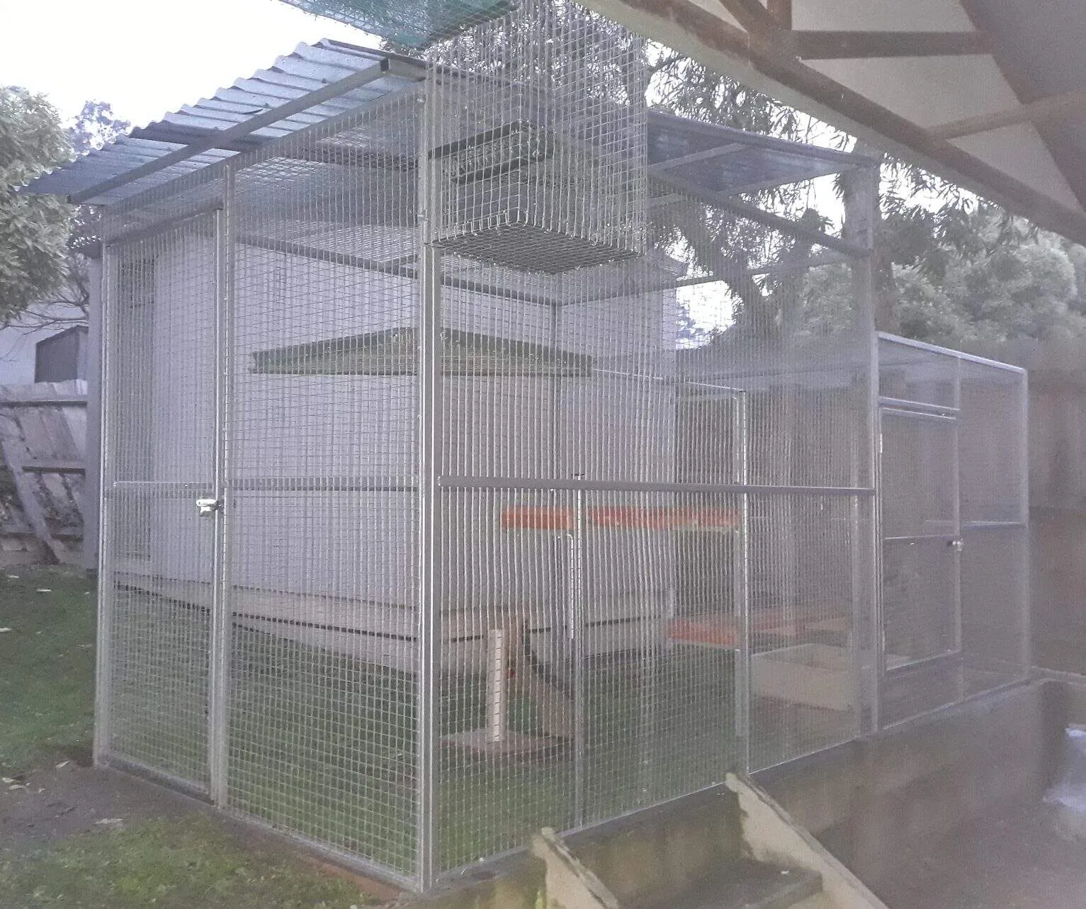 Cat Kingdom Enclosures | Cat Enclosures | And Tunnels